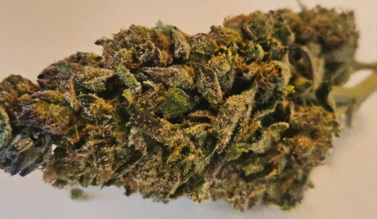 Granddaddy OG X Gush Mints - Indica -28 % THC | Shanes Cannabis Delivery